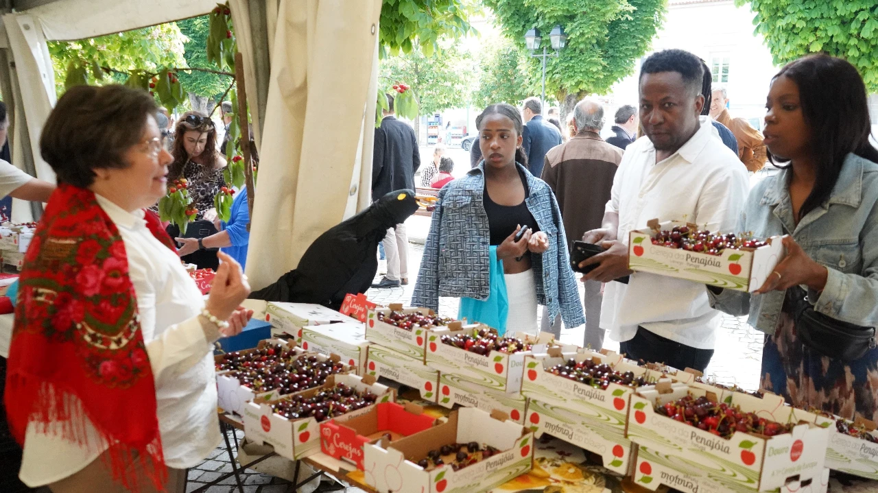 A "Montra da Cereja da Penajóia" regressa a Lamego - Central Press