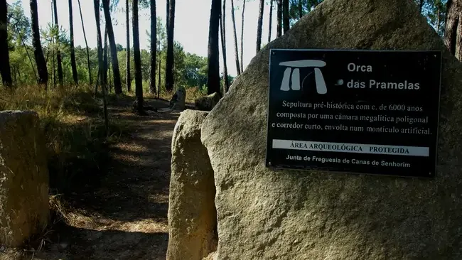 Monumentos megalíticos de Viseu Dão Lafões asseguram classificação e ...