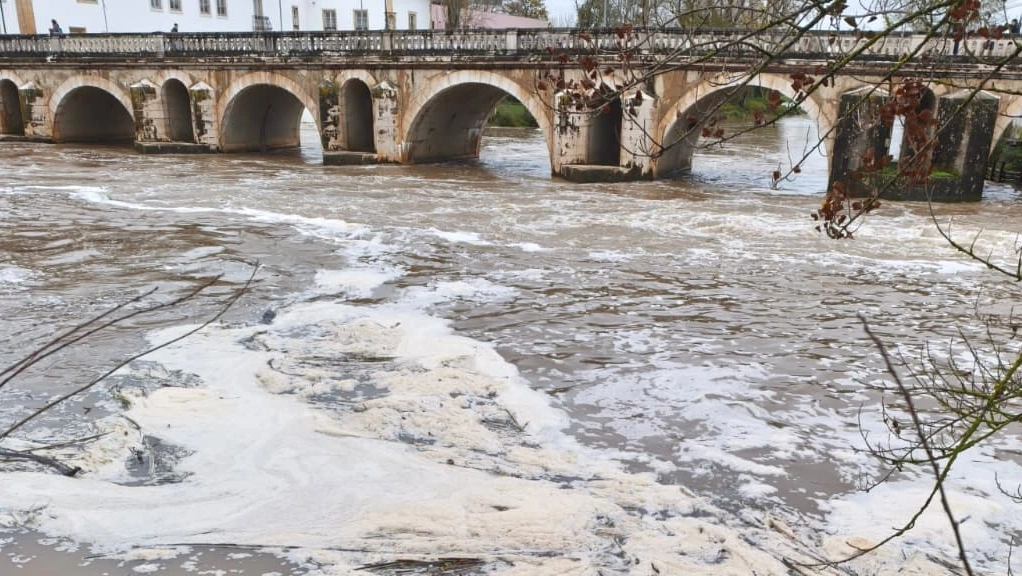Município prepara resposta concertada para combater poluição no rio ...